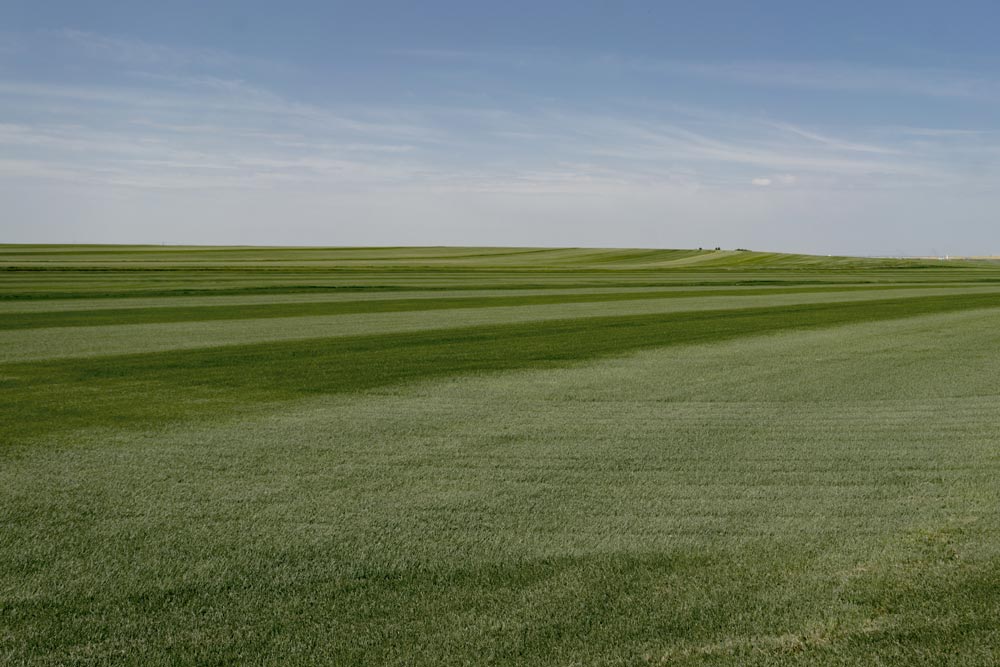 International Farming