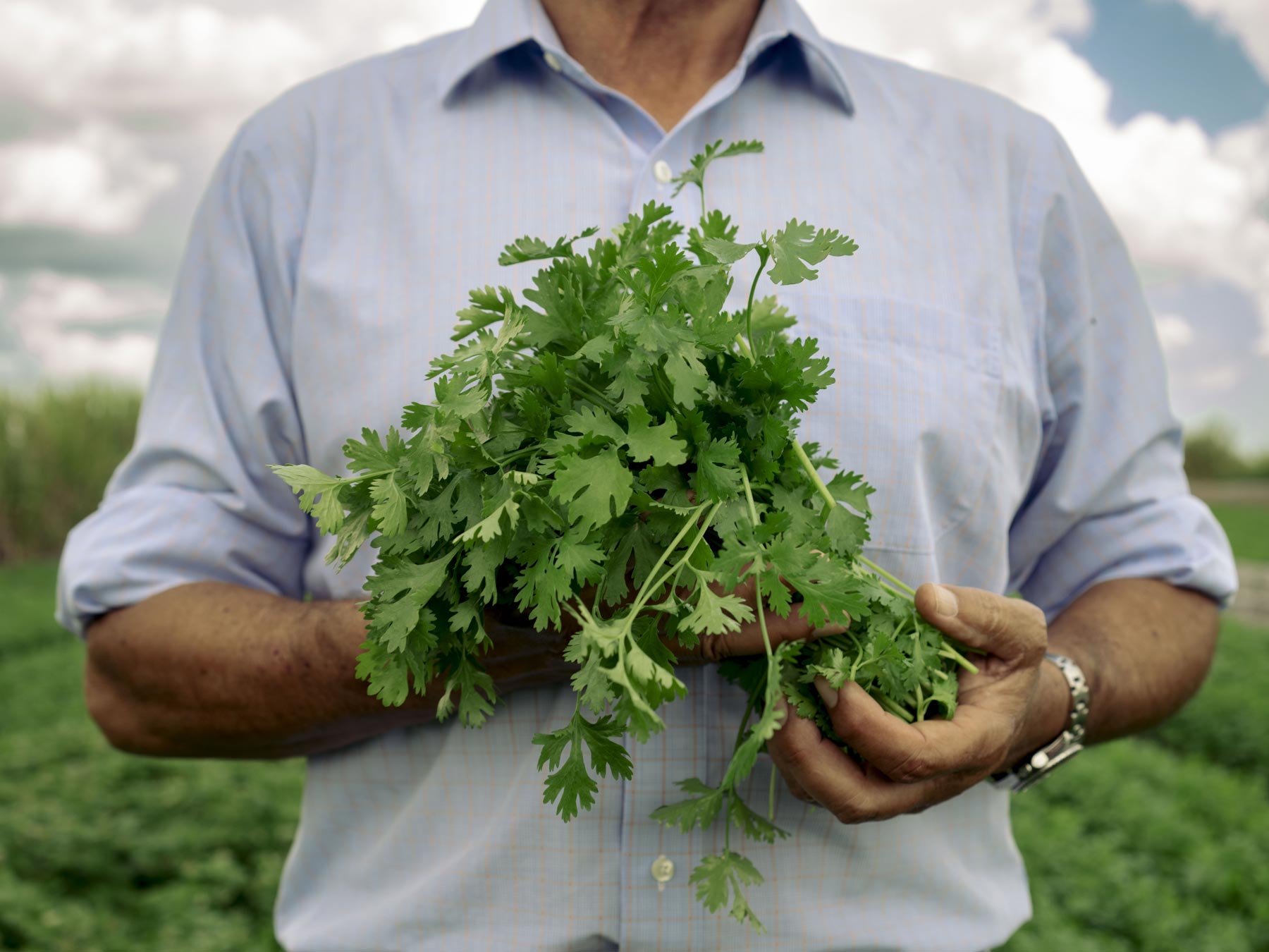 International Farming